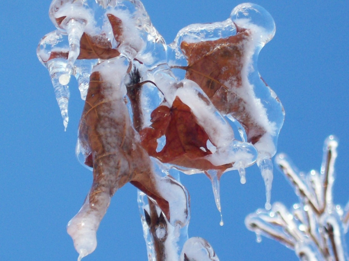 Freeway Aesthetics, Winter, Iowa – Tim Bascom, Author
