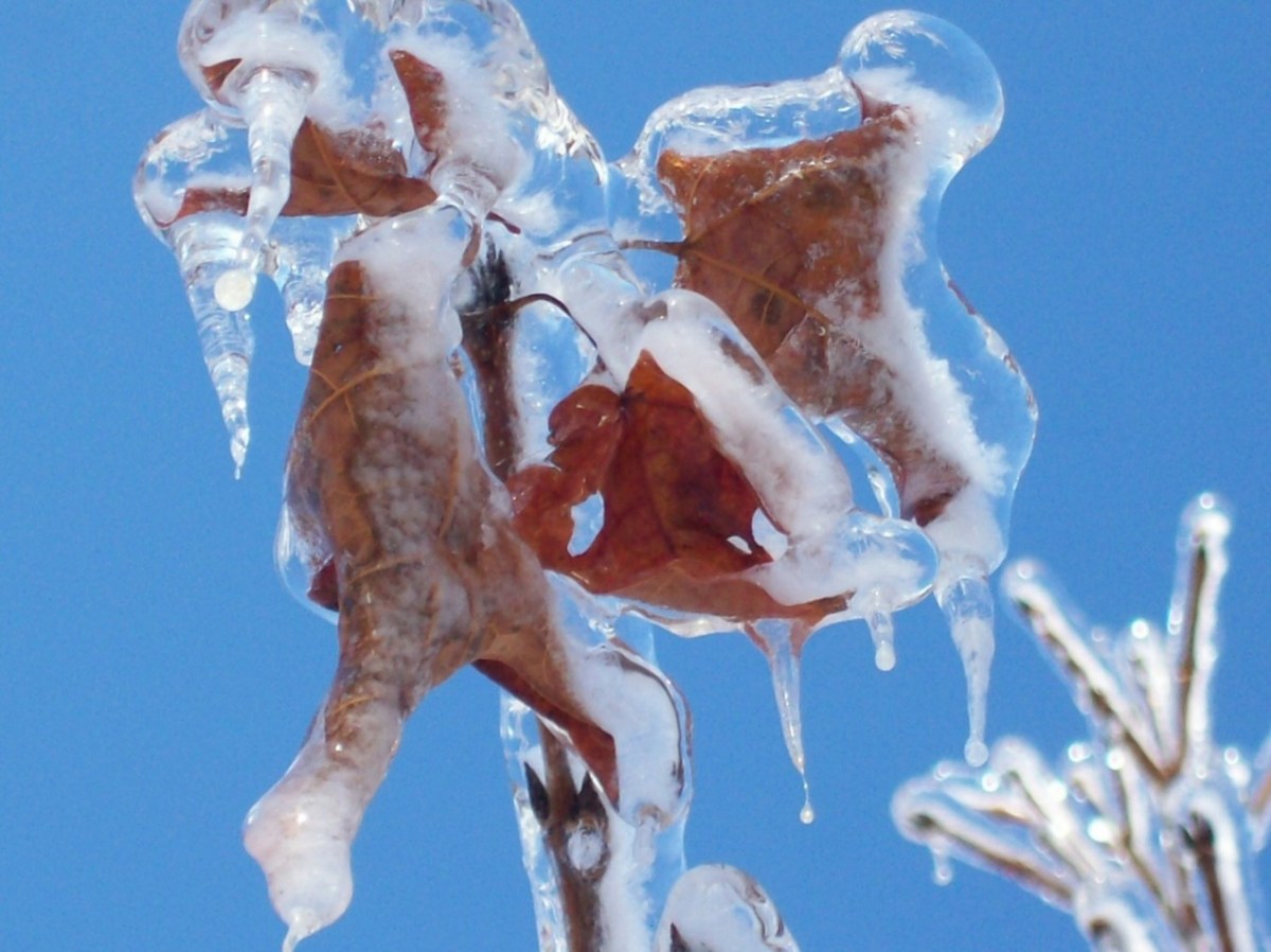 Freeway Aesthetics, Winter, Iowa – Tim Bascom, Author